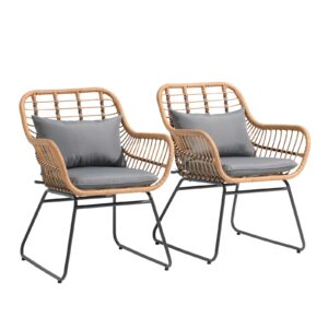 joivi patio chairs set of 2, outdoor wicker chairs with heavy-duty iron frame, all-weather easy-to-clean pe wicker, patio rattan dining chairs for outside lawn, garden, poolside, backyard, porch, gray