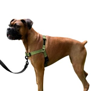 shawnco dream walk no-pull dog harness- adjustable, comfortable, easy to use pet halter to help stop pulling for small, medium and large dogs (olive green, m)