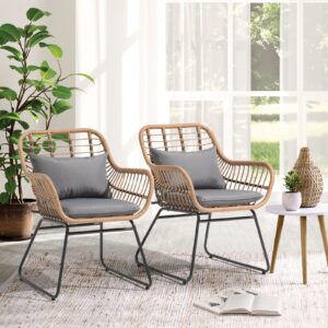 JOIVI Patio Chairs Set of 2, Outdoor Wicker Chairs with Heavy-Duty Iron Frame, All-Weather Easy-to-Clean PE Wicker, Patio Rattan Dining Chairs for Outside Lawn, Garden, Poolside, Backyard, Porch, Gray