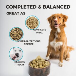 FURRY · WONDER . Freeze Dried Raw Dog Food Salmon and Cod Recipe 16 Ounce, USA Made Grain Free High Protein Dog Food for Complete Meal or Food Topper, Freeze Dried Raw Diet for Skin & Coat Vitalize