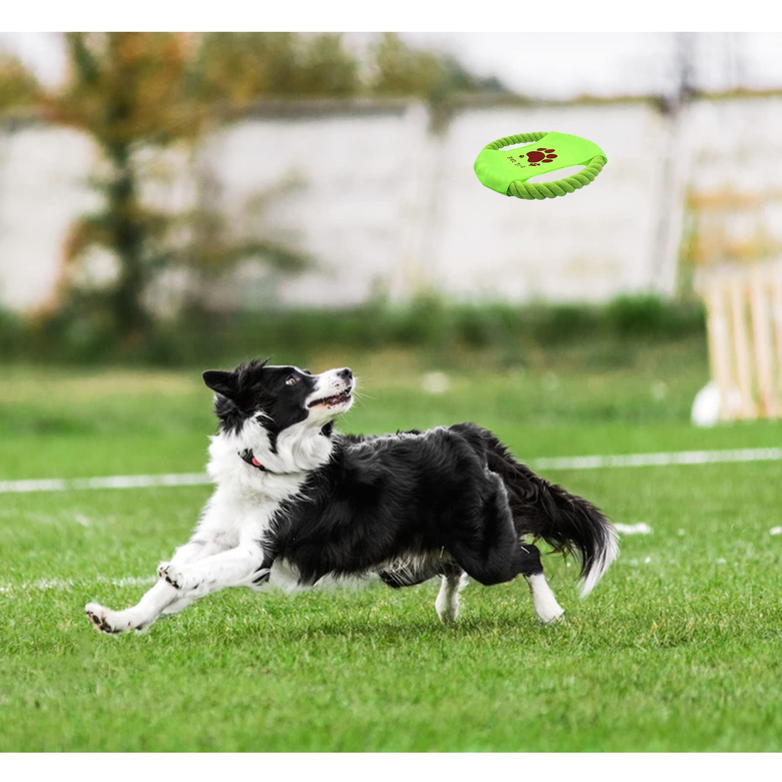 LuckyOpt Dog Rope Toys, 2Pc Flying Disc-Shaped Dog Fetch Toy for Boredom, Cotton Rope Dog Toy for Teething, Training,Throwing and Interacting for Small and Medium Dogs (Green)