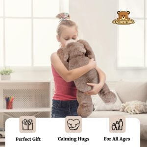 COZYANIMALS 3.5 lbs 20 inch Stuffed Animal Bear, Plush Pillow Toy for Adults Teens Children Kids, Microwaveable Warmies, Super for Birthday