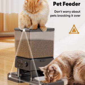 oneisall Automatic Cat Feeder for 2 Cats, 20 Cups/5L Automatic Cat Food Dispenser for Small Pets Indoor, Timed Cat Feeder for Dry Food