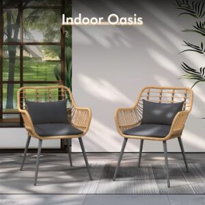 JOIVI Outdoor Patio Wicker Chairs Set of 2, Rattan Dining Chairs with Cushion and Armrest, Porch Chairs Outdoor Seating with Iron Frame, Balcony Furniture for Apartments, Lawn, Backyard, Garden, Black