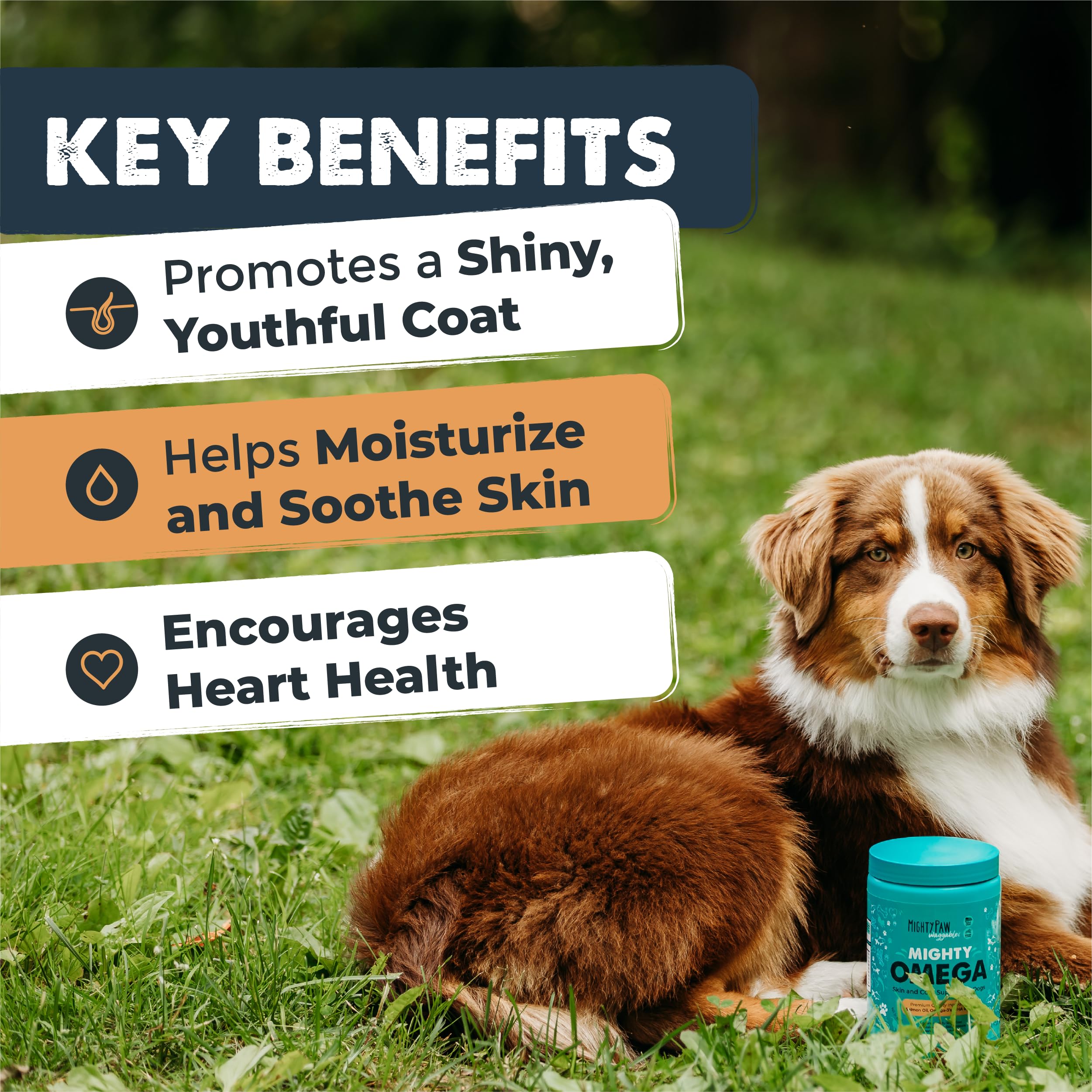 Mighty Paw Waggables Mighty Omega (Made in The USA, 120 Count) | Omega 3 Fish Oil Chew for Dogs. Salmon Oil for Dogs Skin and Coat Supplement. Soft Chew Fish Oil for Dogs - DHA & EPA, Bacon Flavor