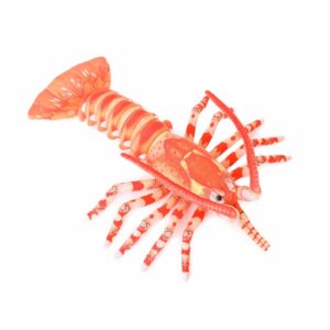 GracesDawn Plush Lobster Stuffed Animals, Australian Lobster Doll, Pillow, Plush Toys, Healing Animal Image That Fills People with Courage and Appetite (23.6 inches Long red)