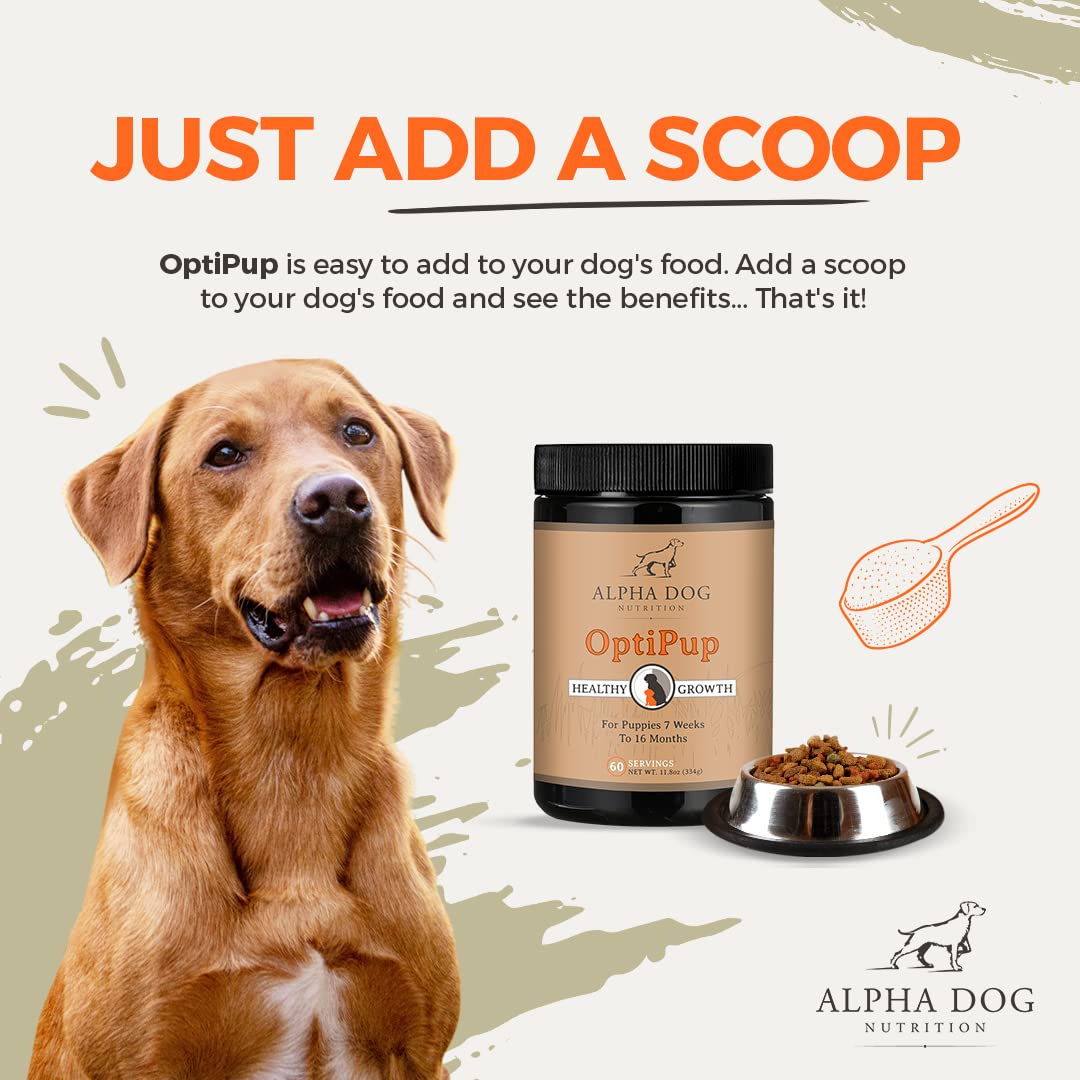 Alpha Dog Nutrition OptiPup All-in-1 Puppy Multivitamin Contains 31 Superfoods Including Probiotics and Prebiotics for Digestive Support, Skin & Immune Health, and Optimum Growth (60 Servings)