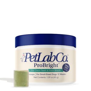 petlab co. probright dental powder - dog breath freshener - teeth cleaning made easy – targets tartar & bad breath - formulated for small dogs