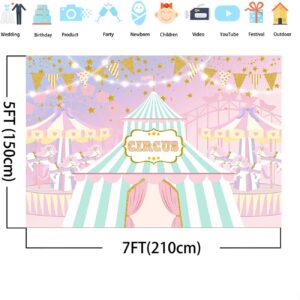 Ayayiya Pink Circus Backdrop for Girl Pastel Carnival Carousel Birthday Party Decorations Big Top Tent Ferris Wheel Photography Background Sweet Baby Shower Cake Table Banner Photo Booth Props 7x5ft