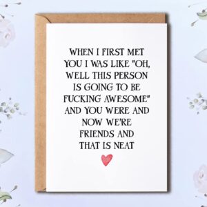 When I First Met You I Was Like - Funny And Sarcastic Friendship Card - Best Friend Birthday Card For Bestie - Sweet Unique Birthday Card