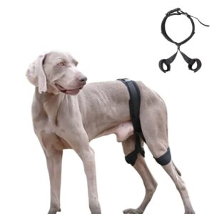 Garden Miller Adjustable Dog Knee Brace,Dog ACL Hind Leg Brace,Support with Cruciate Ligament Injury, Joint Pain and Muscle Sore_S