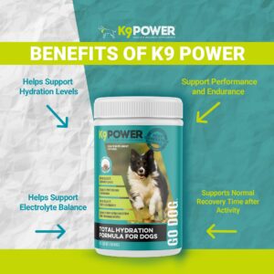 K9 Power Go Dog Hydration & Performance Drink Mix 1 lb - Active Dog Supplement for Muscle Function, Endurance, Recovery, with Electrolytes Support