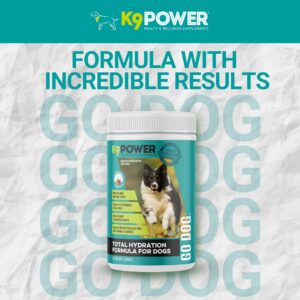 K9 Power Go Dog Hydration & Performance Drink Mix 1 lb - Active Dog Supplement for Muscle Function, Endurance, Recovery, with Electrolytes Support