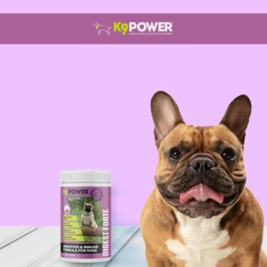 K9 Power Digest Forte for Dogs 1lb – Digestive Support - Enhances Nutrient Absorption - Balances Gut Flora - Eases Discomfort & Boosts Immunity