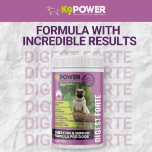 K9 Power Digest Forte for Dogs 1lb – Digestive Support - Enhances Nutrient Absorption - Balances Gut Flora - Eases Discomfort & Boosts Immunity