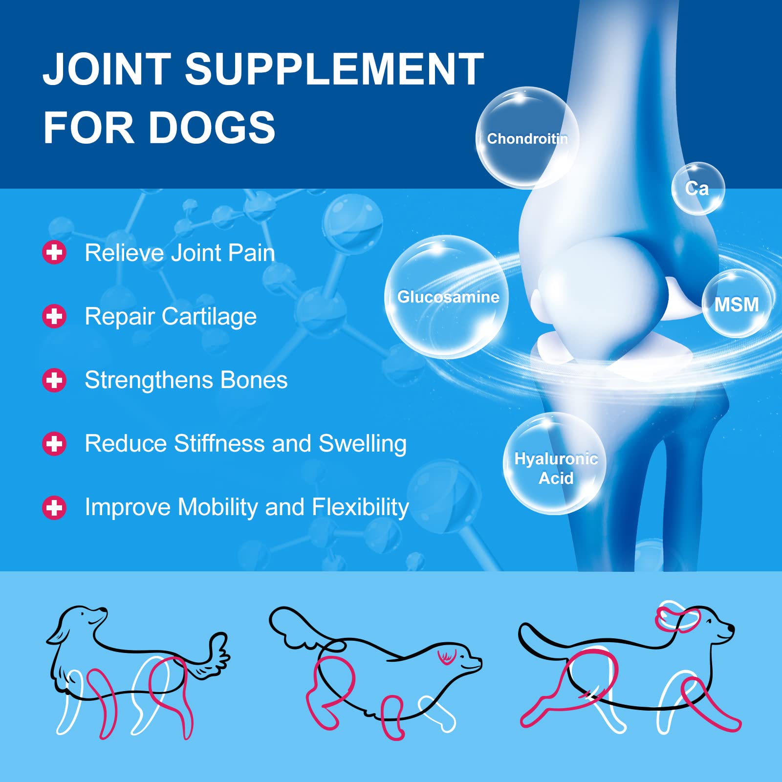 Dog Vitamins Powder, Probiotics & Digestive Enzymes for Gut Health, Dog Allergy Relief Freeze Dried Chews, with Probiotics, Colostrum, Anti Itch & Seasonal Allergies & Scratching