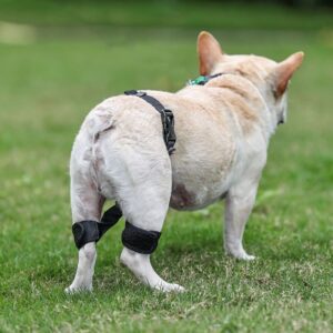 Garden Miller Adjustable Dog Knee Brace,Dog ACL Hind Leg Brace,Support with Cruciate Ligament Injury, Joint Pain and Muscle Sore_S