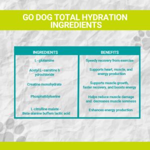 K9 Power Go Dog Hydration & Performance Drink Mix 1 lb - Active Dog Supplement for Muscle Function, Endurance, Recovery, with Electrolytes Support