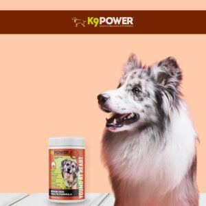 K9 Power Young at Heart Senior Dog Multivitamin 1 lb – Advanced Supplement for Seniors – Supports Brain, Heart, Vision, Joint Health, and Mobility