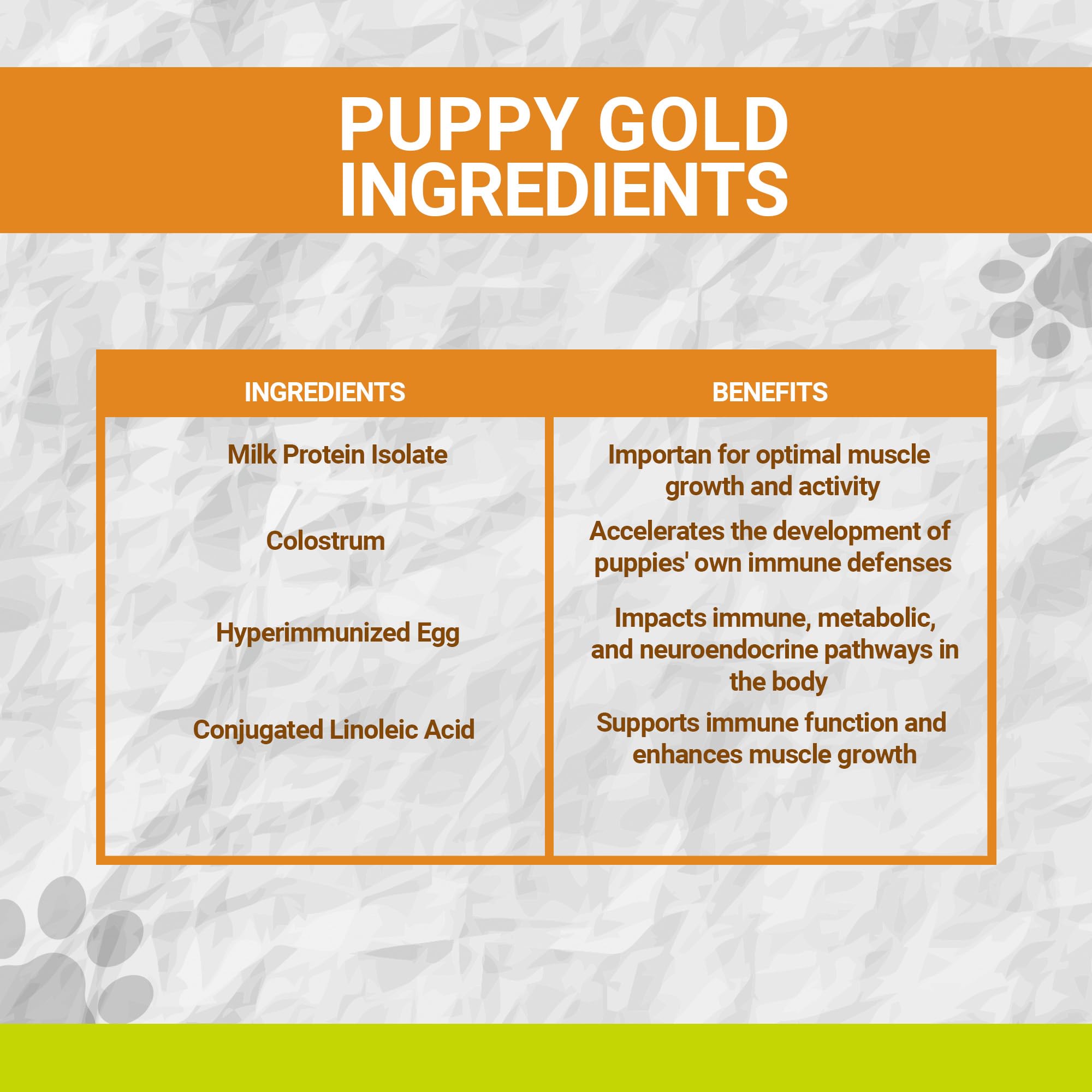 K9 Power Puppy Gold 1 lb - Supplement for Growing Puppies & Nursing Mothers - Essential Nutrients for Healthy Growth & Development - 45 Scoops