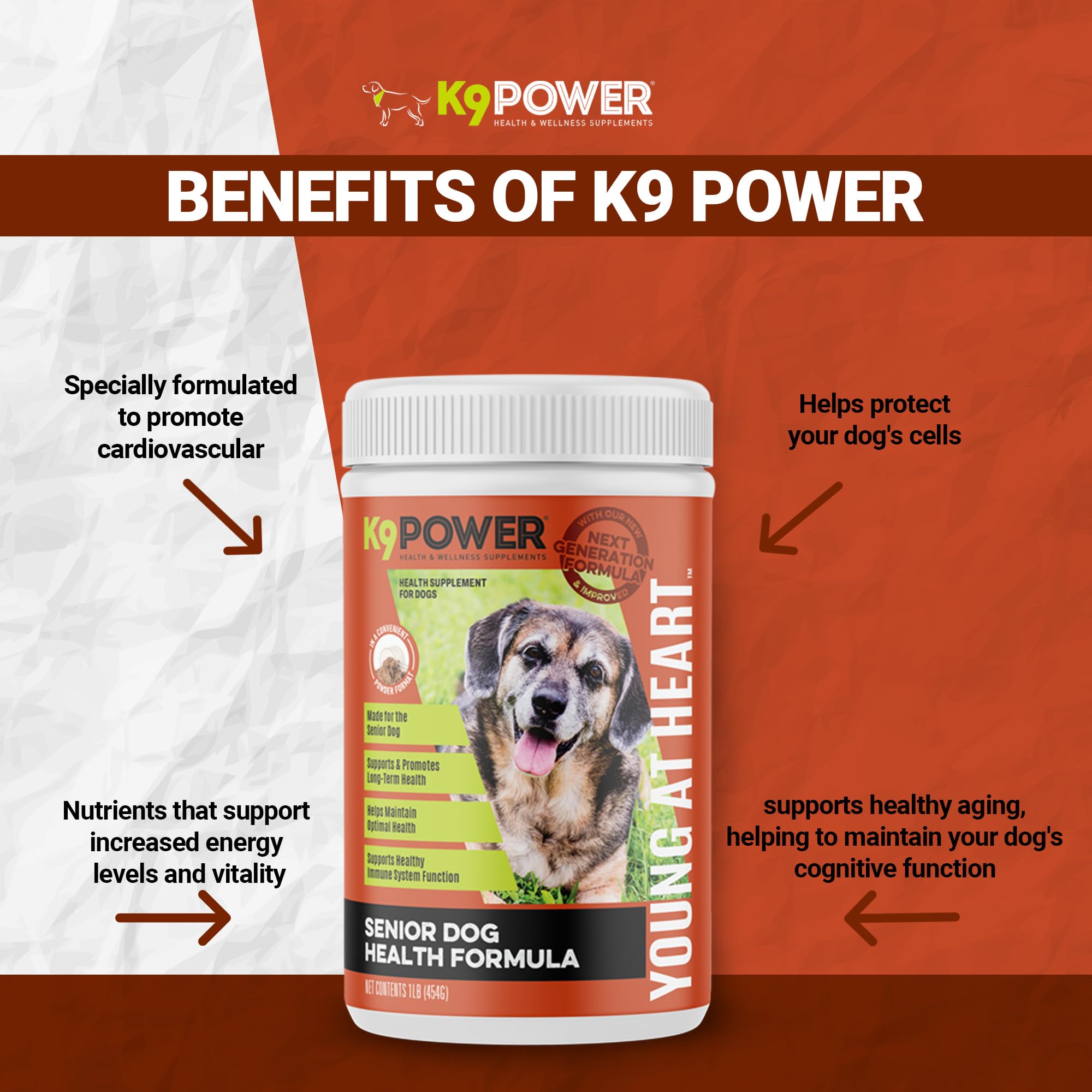 K9 Power Young at Heart Senior Dog Multivitamin 1 lb – Advanced Supplement for Seniors – Supports Brain, Heart, Vision, Joint Health, and Mobility