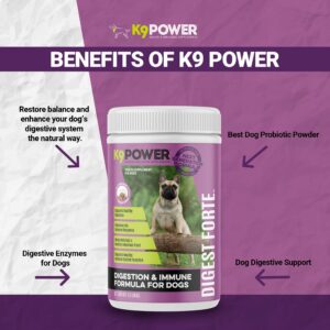 K9 Power Digest Forte for Dogs 1lb – Digestive Support - Enhances Nutrient Absorption - Balances Gut Flora - Eases Discomfort & Boosts Immunity