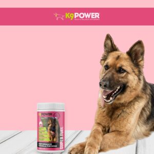 K9 Power Super Fuel for Dogs 1lb - Boosts Energy Levels Supports Muscle Growth & Enhances Joint Health.