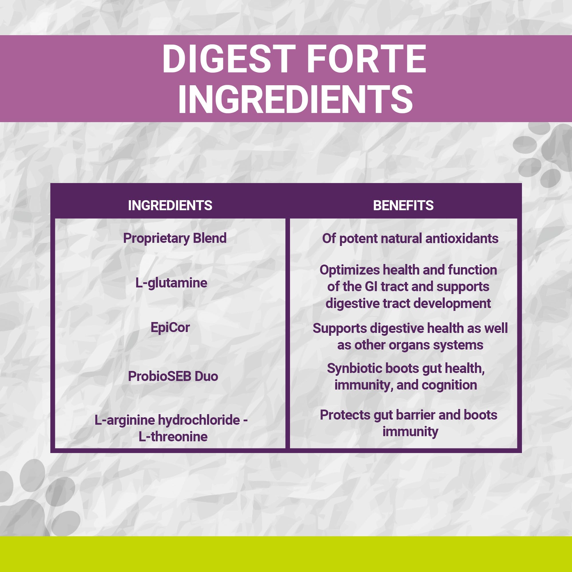 K9 Power Digest Forte for Dogs 1lb – Digestive Support - Enhances Nutrient Absorption - Balances Gut Flora - Eases Discomfort & Boosts Immunity