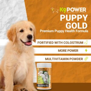 K9 Power Puppy Gold 1 lb - Supplement for Growing Puppies & Nursing Mothers - Essential Nutrients for Healthy Growth & Development - 45 Scoops