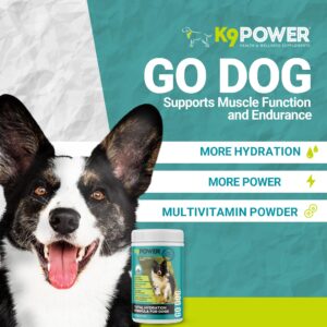 K9 Power Go Dog Hydration & Performance Drink Mix 1 lb - Active Dog Supplement for Muscle Function, Endurance, Recovery, with Electrolytes Support