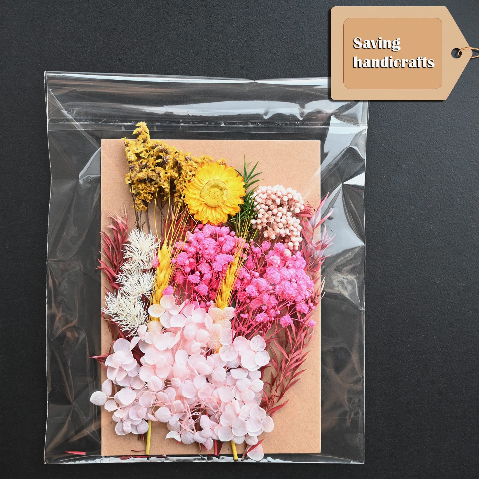 Egofine Self Sealing Cellophane Bags 100 PCS Clear Resealable Sleeves Bags for 8.5x11 Photo Mats (Bag Size:8.67x11.02 inches for 8.5x11 Mats)