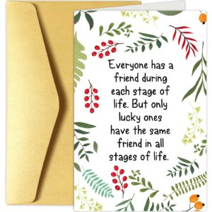 best friend forever card, best friend birthday card, bday card for bff bestie, friendship greeting card, have the same friend in all stages of life