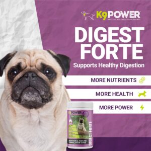 K9 Power Digest Forte for Dogs 1lb – Digestive Support - Enhances Nutrient Absorption - Balances Gut Flora - Eases Discomfort & Boosts Immunity