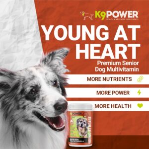 K9 Power Young at Heart Senior Dog Multivitamin 1 lb – Advanced Supplement for Seniors – Supports Brain, Heart, Vision, Joint Health, and Mobility