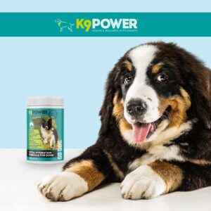 K9 Power Go Dog Hydration & Performance Drink Mix 1 lb - Active Dog Supplement for Muscle Function, Endurance, Recovery, with Electrolytes Support