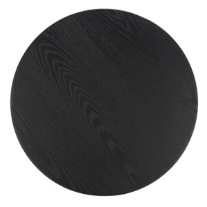 SAFAVIEH Couture Collection Sasha Black Oak Veneer Accent Table