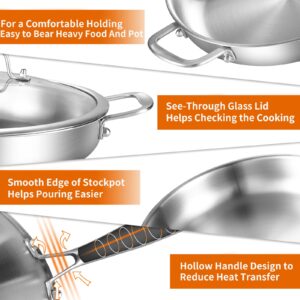 DELARLO Tri-Ply Stainless Steel Pan with Lid 12inch丨Compatible with All Cooktops Up to 600℉丨Stainless Steel Skillet 12 inch丨Heavy Duty丨Frying Pan with Lid丨18/10 Large Cooking Surface丨Omelette Pan