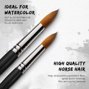 Watercolor Brushes Professional Set, 10 Artist Brushes Watercolor Paint Brushes, Golden Maple Sable Brush Paint Brushes-Round Tip, Flats, Dagger, Oval Wash for Detail Painting, Water Color, Gouache