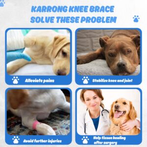 Dog Knee Brace