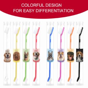 Ninieleph VibrantPet Toothbrush Set - 8-Pack with Dual-Head Design, Transparent Tube Packaging for Convenient Storage and Travel | Enhance Pet Dental Care