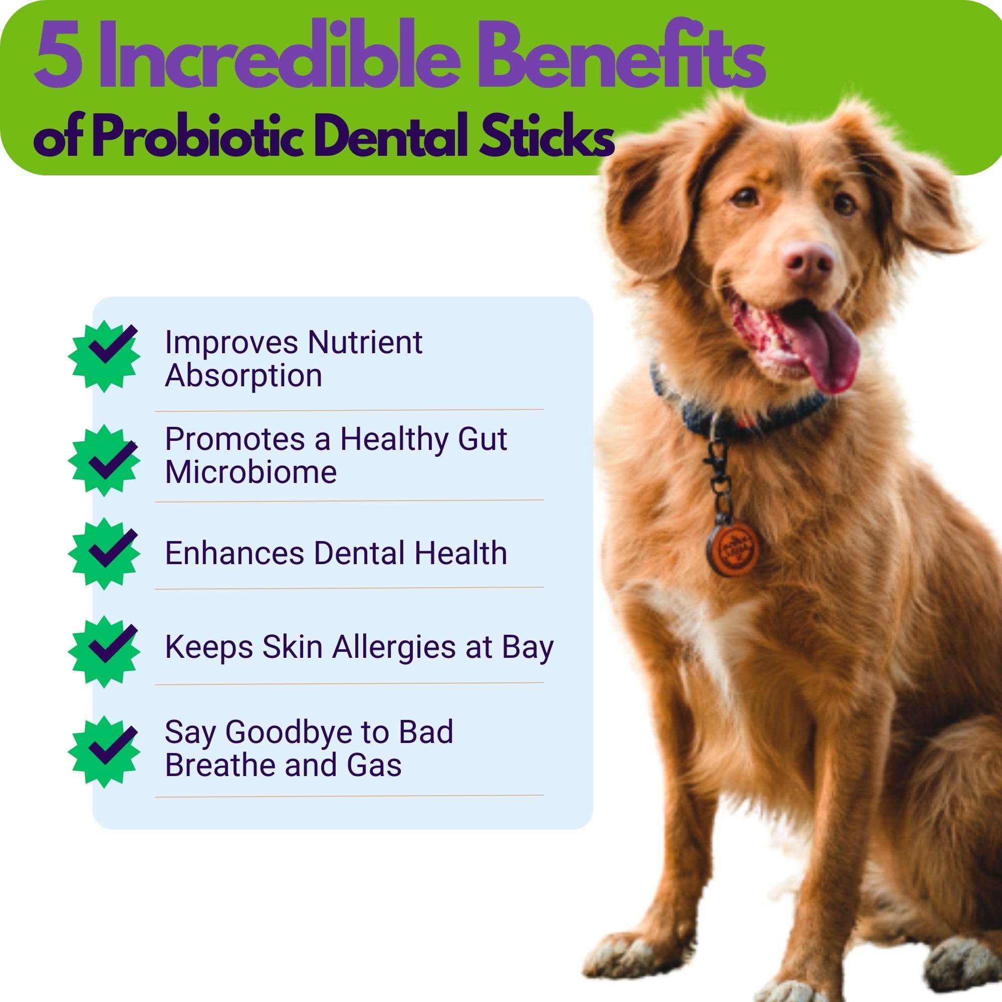 Avery's Holistic Paws Probiotic Dog Dental Treats - Dog Teeth Cleaning, Gut Health, Freshens Breath, 23 Bacon Dog Dental Chews, 3 Inches Each - Natural & Organic Dog Oral Care Treats - Made in USA