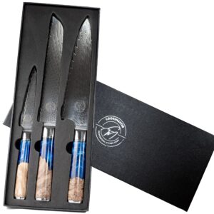 damascus kitchen knife set 3 piece, 67 layer handmade damascus vg10 steel core forged, 8" chef knife, 7,5" serrated knife, 5" utility knife, resin wood handle, gift box included