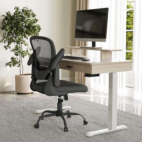 EUREKA ERGONOMIC Mesh Office Chair, Ergonomic Desk Chair with Adjustable Lumbar Support, Chair for Desk - Flip-Up Armrests, Breathable Computer Desk Chair with Wheels, Work Chair - BIFMA Passed(Black)