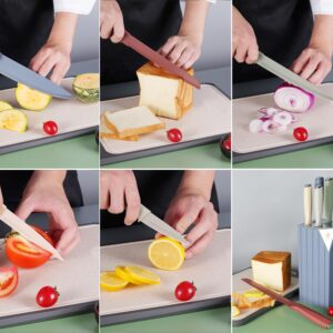 Knife Set, 6 Pcs Color-Coded Kitchen Knife Set with Block, 5 Color Anti-Rust Coating Stainless Steel Chef Knife Set, Super Sharp Kitchen Knives with Stand, Cooking Knives for Kitchen with Gift Box