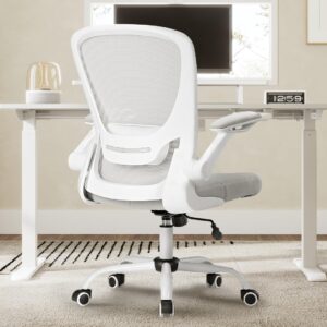 EUREKA ERGONOMIC Mesh Office Chair, Ergonomic Desk Chair with Adjustable Lumbar Support, Chair for Desk - Flip-Up Armrests, Breathable Computer Desk Chair with Wheels, Work Chair - BIFMA Passed(Gray)