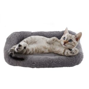 petleso small cat bed plush cat cushion, small cat beds for indoor cats fluffy cat mat for small cat curl sleep for crate carrier, small 15" x 10"