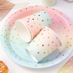 Pastel Party Supplies Rainbow Pastel Party Paper Plates Cups Napkins Dinnerware Set for Pastel Party Decorations Girl Birthday Baby Showers Bridal Shower Wedding,Serves 24