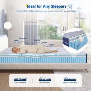 Avenco Twin XL Mattresses, Hybrid Mattress Twin XL, 10 Inch Twin XL Mattress Medium Firm for Pressure Relief and Sound Sleep, Wrapped Coils and CertiPUR-US Foam, Soft Breathable Fabric