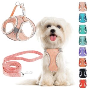 small dog harness and leash set, no pull adjustable reflective breathable mesh step in dog harness easy walk dog harness for extra small/small medium dog cats puppy outdoor hiking training (pink xxs)