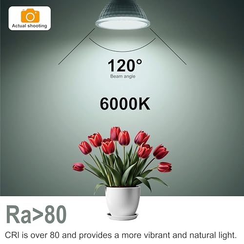 WSMCN MR16 GU5.3 LED Bulbs, Daylight Bright Cool White 6000K 700 Lumens Lamp, Non-dimmable, 6.5W Equivalent to 60W Halogen, AC/DC 12V LED Spotlight Bulb, 120° Beam Angle, Pack of 6